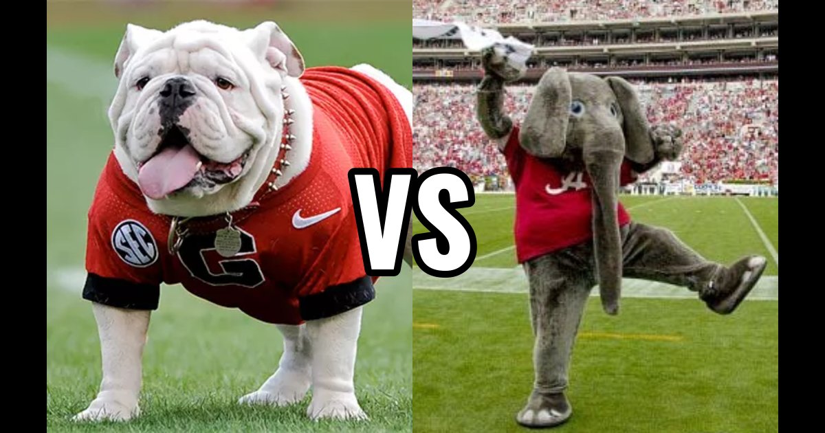 Big Al (Alabama Crimson Tide) vs Uga (Georgia Bulldogs): Uga (Georgia ...