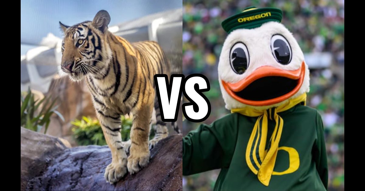 Mike the Tiger (LSU Tigers) vs The Oregon Duck (Oregon Ducks): The ...