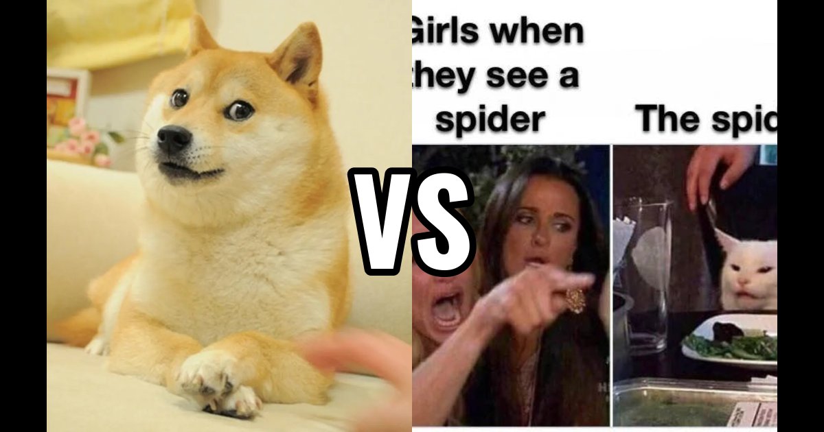 Doge vs Woman Yelling at Cat - Which Internet Meme is Better?